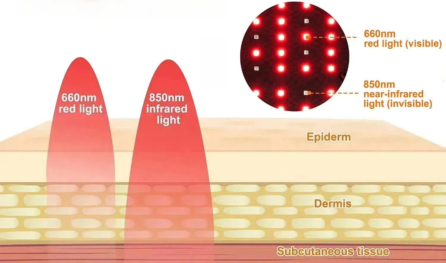 Does Red Light Therapy Help Hair Growth?